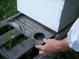 ミツバチのパッケージをどのようにインストールしますか？