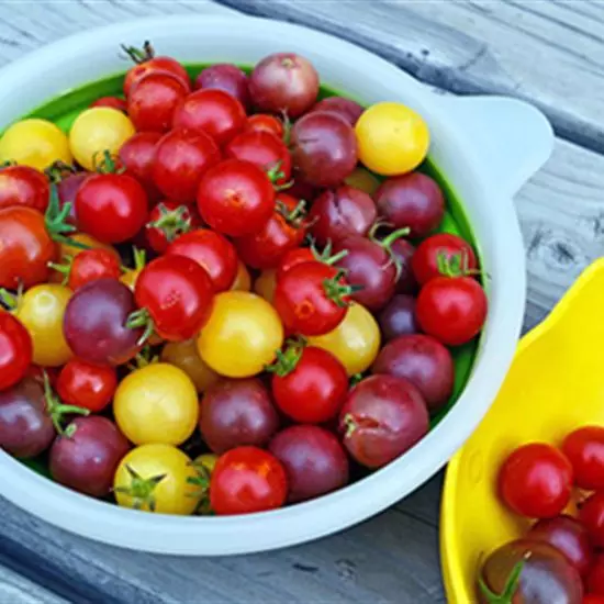 3种保存晚季樱桃番茄的方法