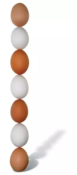 Kiaušinių palyginimas: kaip sekasi tavo kiaušiniams? - Tikras maistas