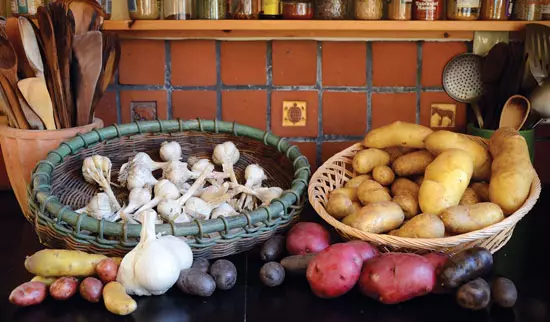 Gojenje in kuhanje s krompirjem in česnom