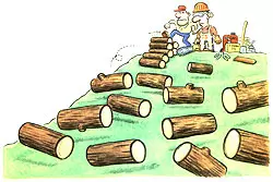 دروس تقطيع الأخشاب