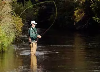 Отишао на пецање… али да ли је ваш улов сигуран за јело?