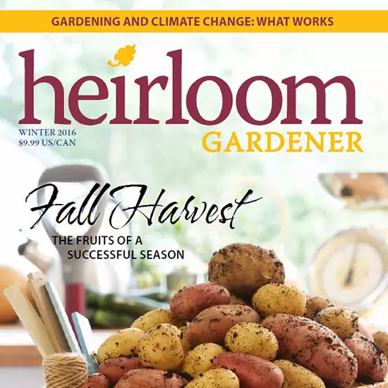 Heirloom Gardener Magazine bætt við Ogden Family